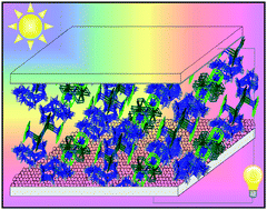 Organic ionic plastic crystal electrolytes; a new class of electrolyte ...
