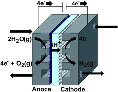 Proton exchange membrane electrolysis sustained by water vapor - Energy ...