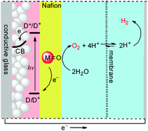 Visible light-driven water oxidation—from molecular catalysts to ...