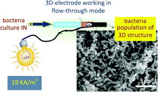 Three-dimensional microchanelled electrodes in flow-through ...