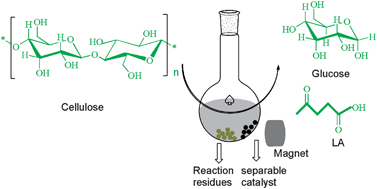 Hydrolysis of biomass by magnetic solid acid - Energy & Environmental ...