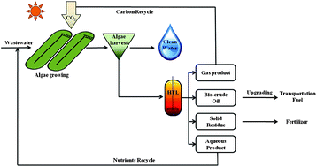 Hydrothermal Liquefaction Formation Mechanism And Resource Recovery