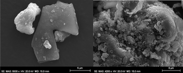 Heavy metal concentrations in particle size fractions from street dust ...