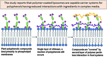 Encapsulation of polyphenolic grape seed extract in polymer-coated ...