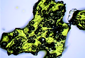 Evaluation of porous starch as a flavour carrier - Food & Function (RSC ...