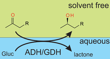 Utilising hardly-water soluble substrates as a second phase enables the ...