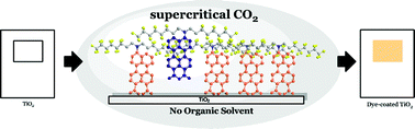 Supercritical carbon dioxide as a solvent for deposition of a tailored ...