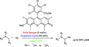 Graphene oxide and Rose Bengal: oxidative C–H functionalisation of ...