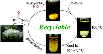 Aqueous and biphasic nitrile hydration catalyzed by a recyclable Ru(ii ...