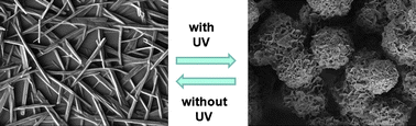 The synthesis of poly(p-phenylenediamine) microstructures without ...