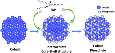The structural evolution and diffusion during the chemical ...