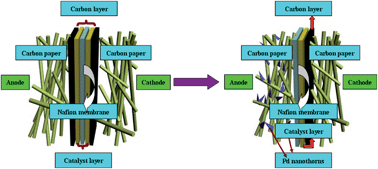 Electrodeposited palladium nanostructure as novel anode for direct ...