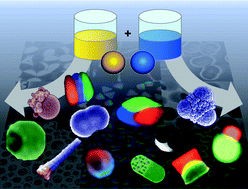 Multifunctional polymer particles with distinct compartments - Journal ...