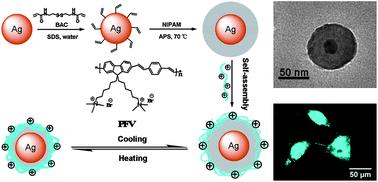 Hybrid conjugated polymer-Ag@PNIPAM fluorescent nanoparticles with ...