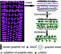 One-step molybdate ion assisted electrochemical synthesis of α-MoO3 ...