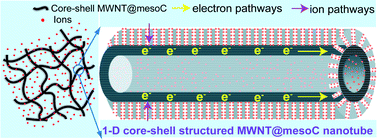 Multiwall carbon nanotube@mesoporous carbon with core-shell ...