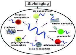 Nucleic acid-functionalized nanomaterials for bioimaging applications ...