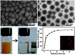 Fibrous-structured magnetic and mesoporous Fe3O4/silica microspheres ...