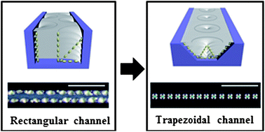 Highly ordered defect arrays of 8CB (4′-n-octyl-4-cyano-biphenyl ...