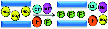 High selectivity in anion exchange reactions of the anionic clay ...