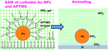 Improved performance of nanocrystal memory for aminosilane-mediated Au ...