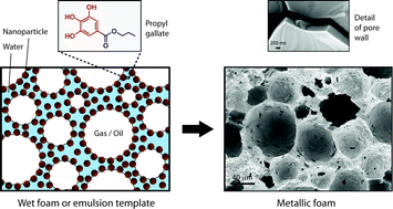Metallic foams from nanoparticle-stabilized wet foams and emulsions ...