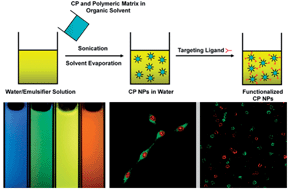 Polymer encapsulated conjugated polymer nanoparticles for fluorescence ...