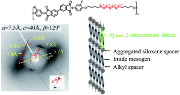 Characteristic smectic structures of main-chain liquid-crystalline ...