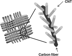 High-cell-voltage supercapacitor of carbon nanotube/carbon cloth ...