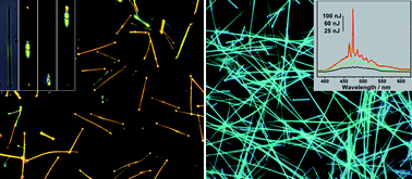 Photonic applications of one-dimensional organic single-crystalline ...