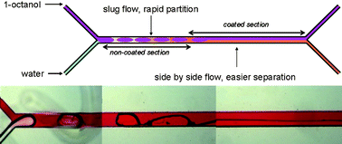 Multiple flow profiles for two-phase flow in single microfluidic ...