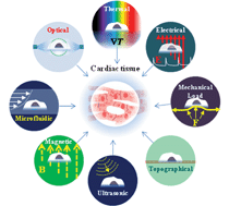 Engineered approaches to the stem cell microenvironment for cardiac ...