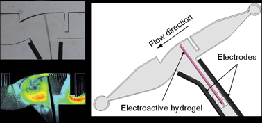 A low-energy-consumption electroactive valveless hydrogel micropump for ...