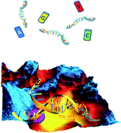 Solid phase DNA extraction on PDMS and direct amplification - Lab on a ...