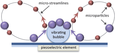 Selective particle trapping using an oscillating microbubble - Lab on a Chip (RSC Publishing)