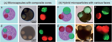 Water-actuated microcapsules fabricated by microfluidics - Lab on a ...