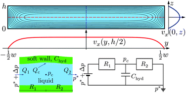 Acoustofluidics 1: Governing equations in microfluidics - Lab on a Chip ...