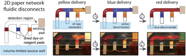 Two-dimensional paper networks: programmable fluidic disconnects for ...