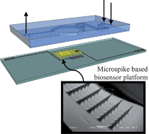 Microfluidic device to investigate factors affecting performance in ...