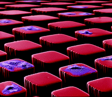 Art in Science - Lab on a Chip (RSC Publishing)