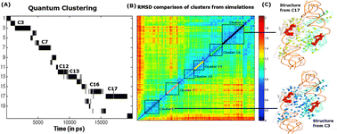 Quantum clustering and network analysis of MD simulation trajectories to probe the ...