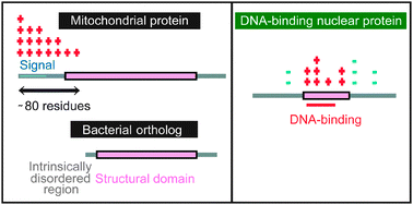 Intrinsically disordered regions have specific functions in ...
