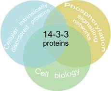 The role of protein disorder in the 14-3-3 interaction network ...