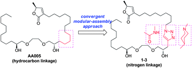 Modular assembly of cytotoxic acetogenin mimetics by click linkage with ...