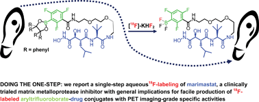 Towards kit-like 18F-labeling of marimastat, a noncovalent inhibitor ...