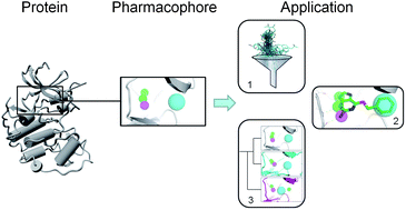 From the protein's perspective: the benefits and challenges of protein ...