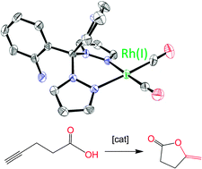 Rhodium(i) complexes bearing N-donor ligands: catalytic activity ...