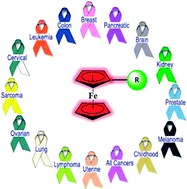 Application of ferrocene and its derivatives in cancer research - New ...