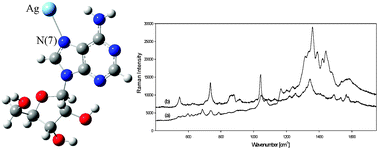 Stability and mode of coordination complexes formed in the silver(i ...