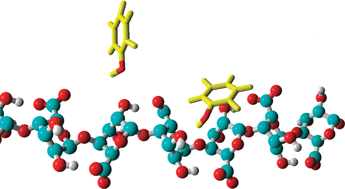 Molecular dynamics study of the interactions between phenolic compounds ...